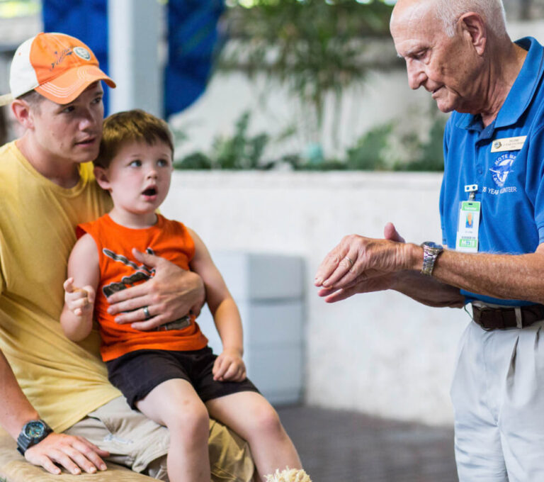 Marine Animal Rescue & Rehabilitation | Mote Marine Laboratory & Aquarium