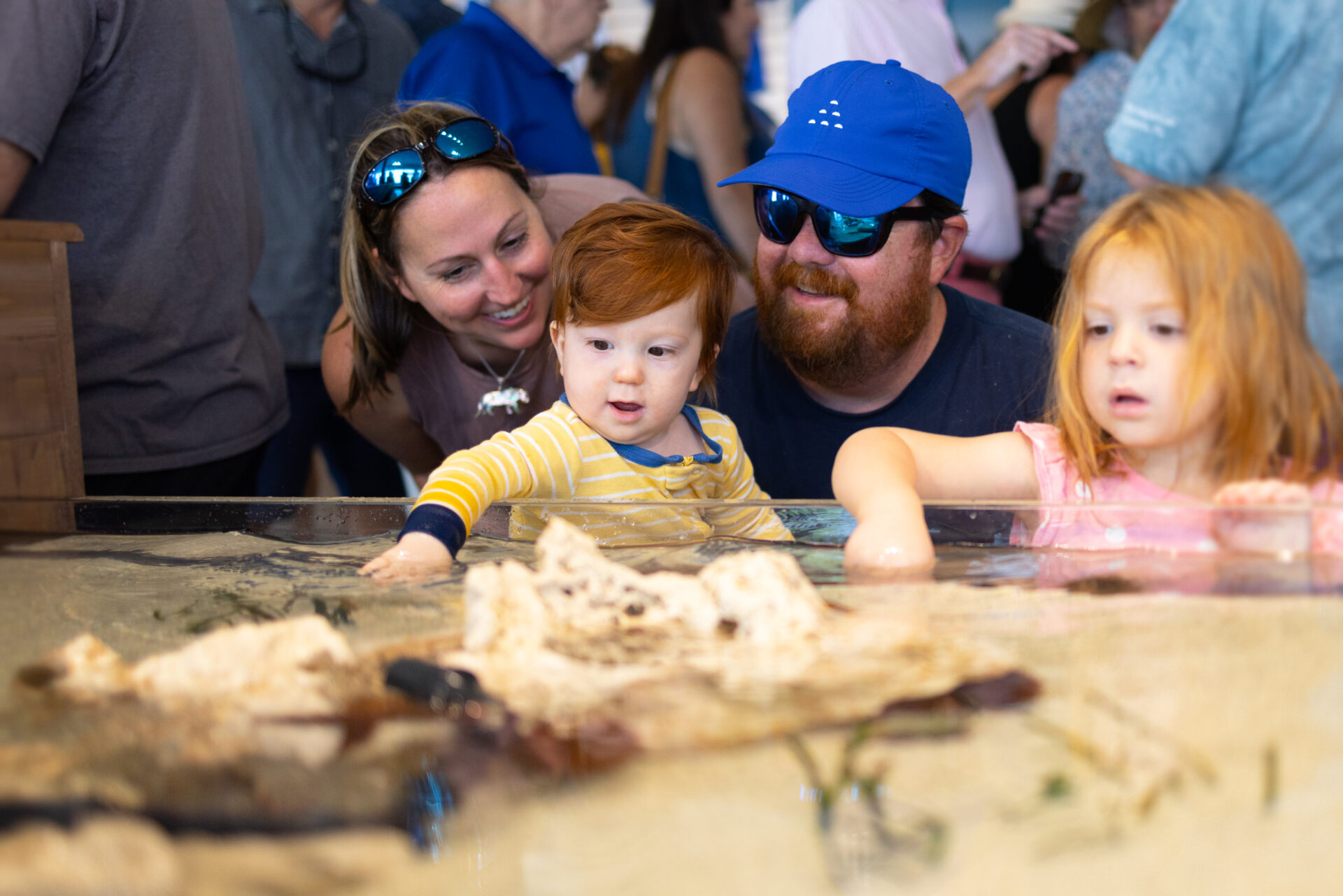 Mote's Marine Science Education & Outreach Center | Mote Marine ...