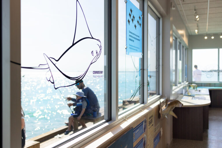 Mote's Marine Science Education & Outreach Center | Mote Marine ...