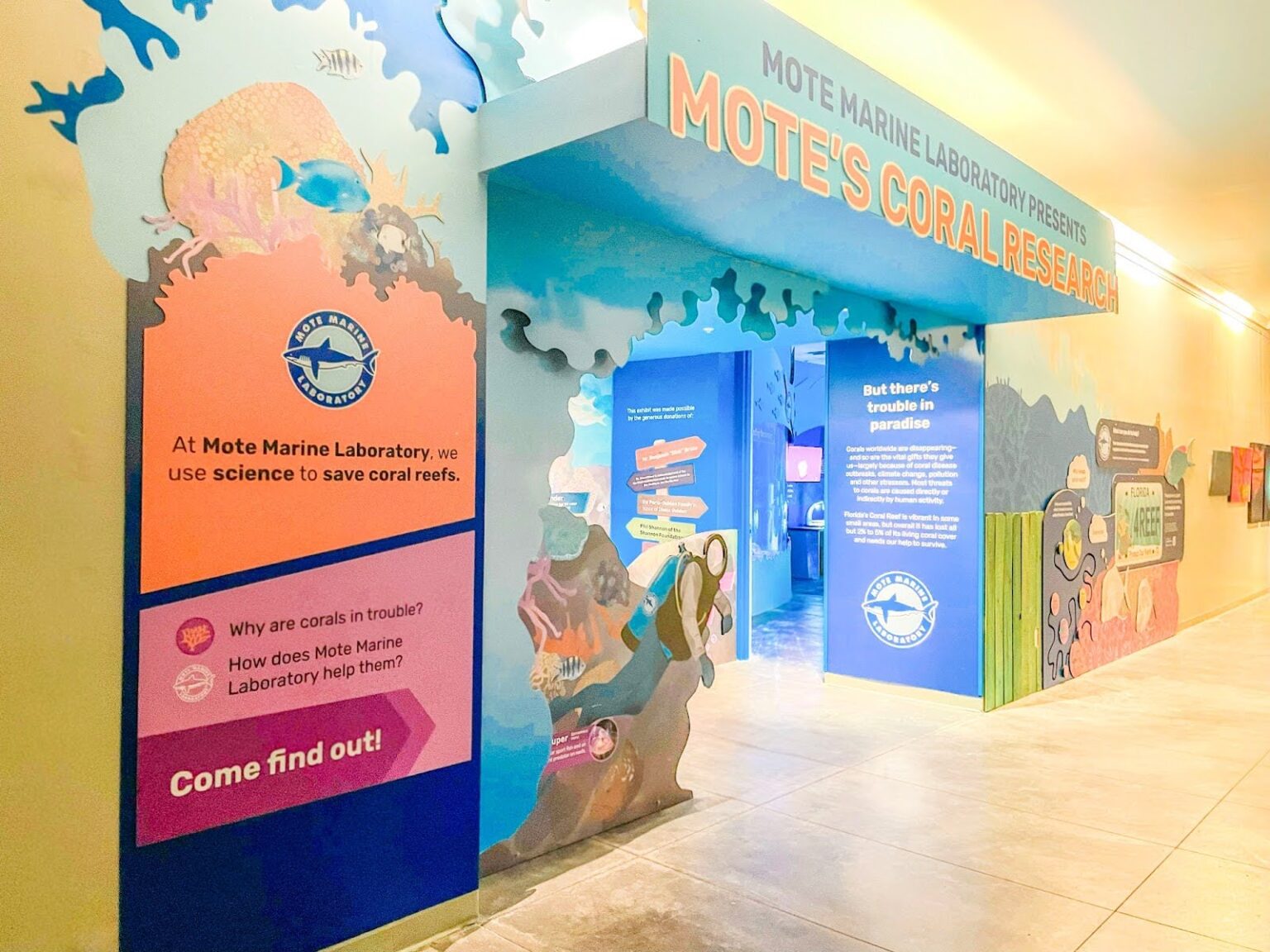 Visit | Mote Marine Laboratory & Aquarium