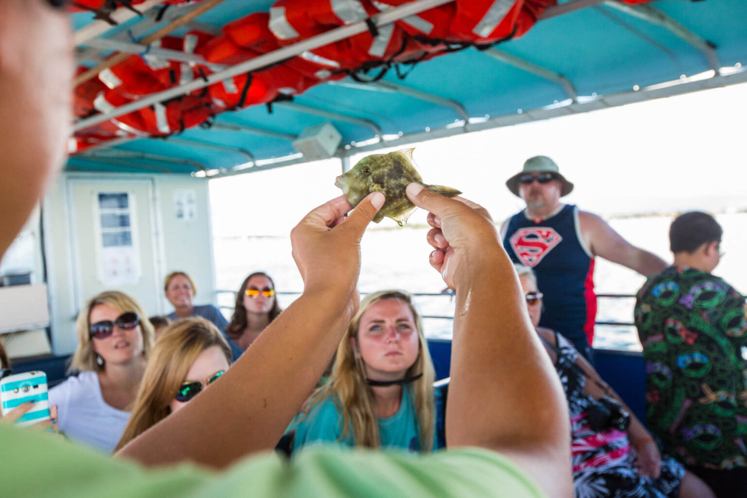 Visit | Mote Marine Laboratory & Aquarium