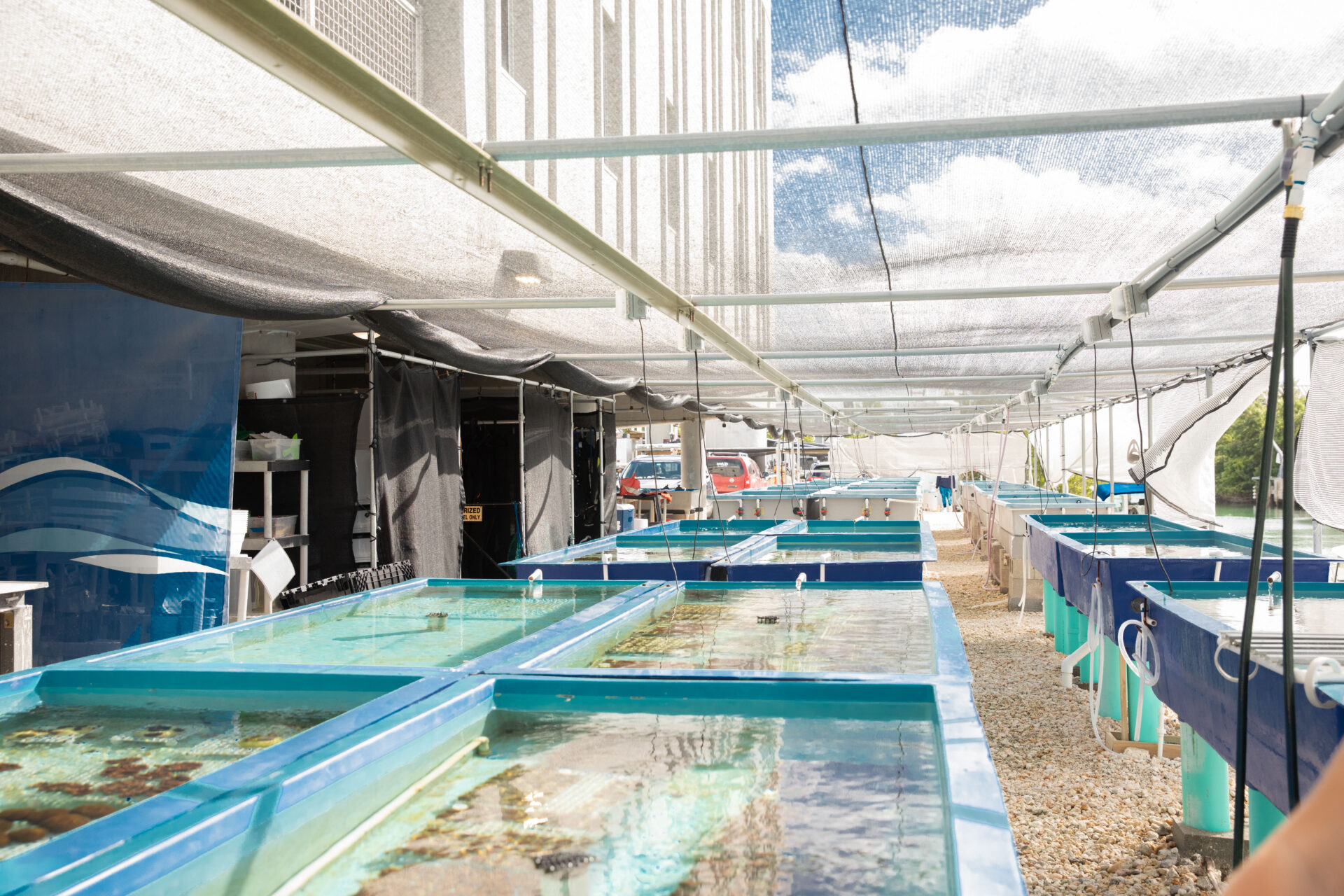 Life Support Systems Internship (Keys) | Mote Marine Laboratory & Aquarium