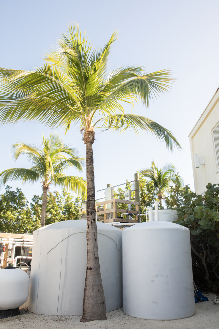 Mote's Key Largo Coral Nursery | Mote Marine Laboratory & Aquarium