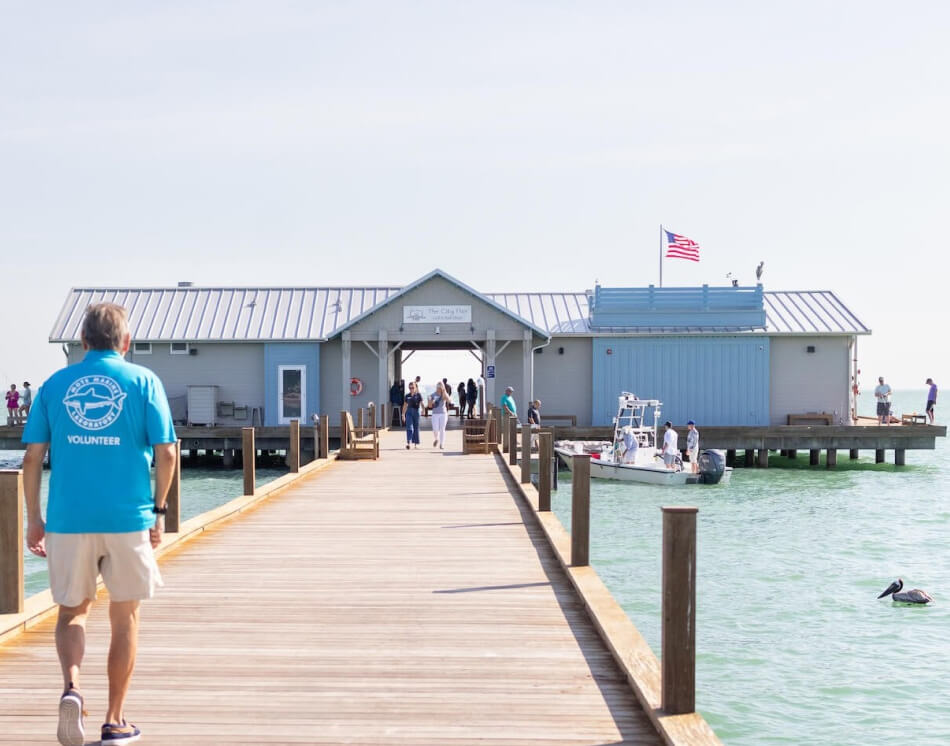 Outreach Center Operations Internship | Mote Marine Laboratory & Aquarium