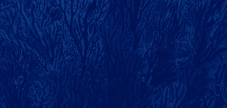 Humu-humu-nuku-nuku-a-pua'a | Mote Marine Laboratory & Aquarium