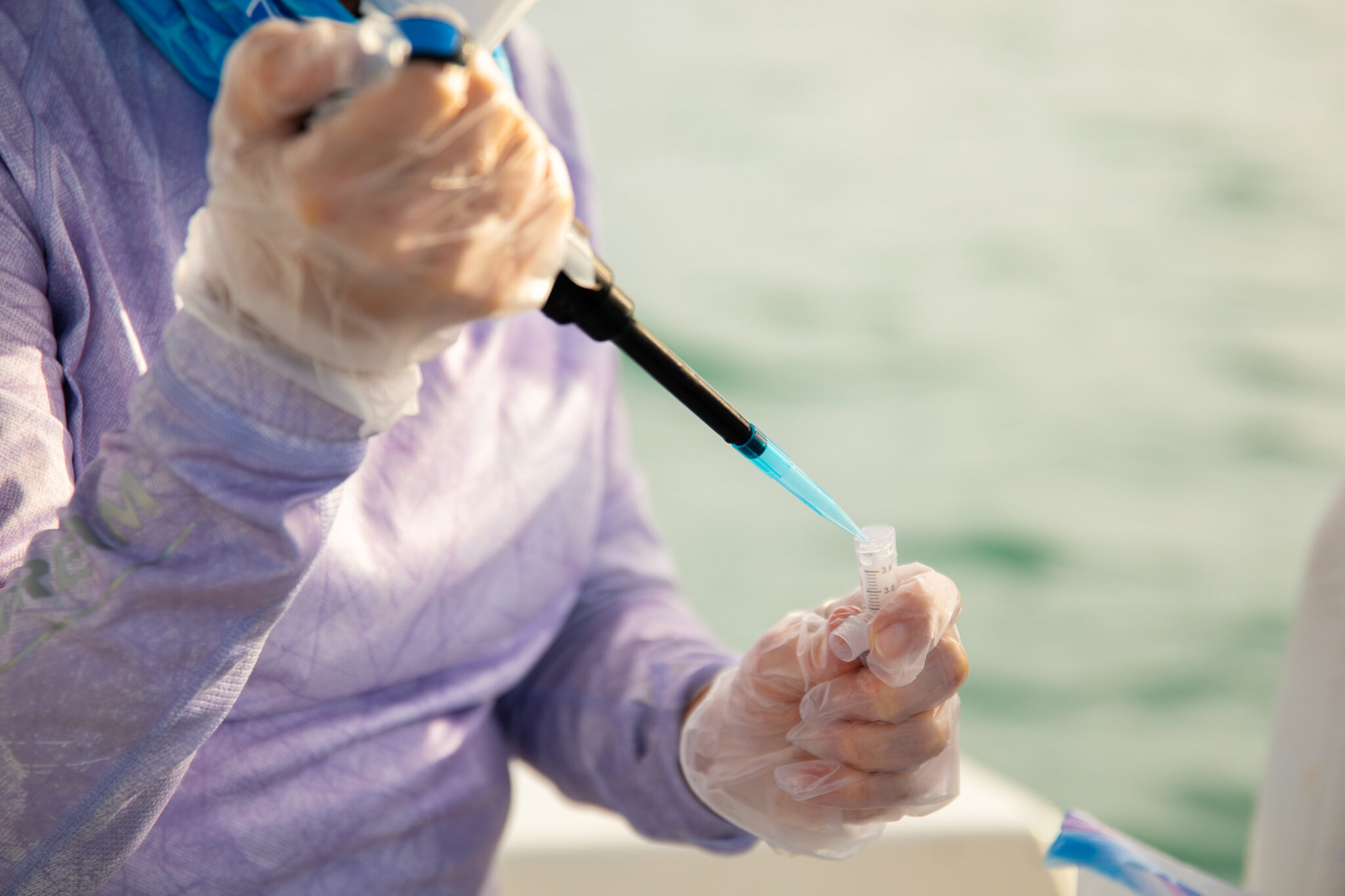 Harmful Algal Bloom Mitigation & Ecology | Mote Marine Laboratory ...