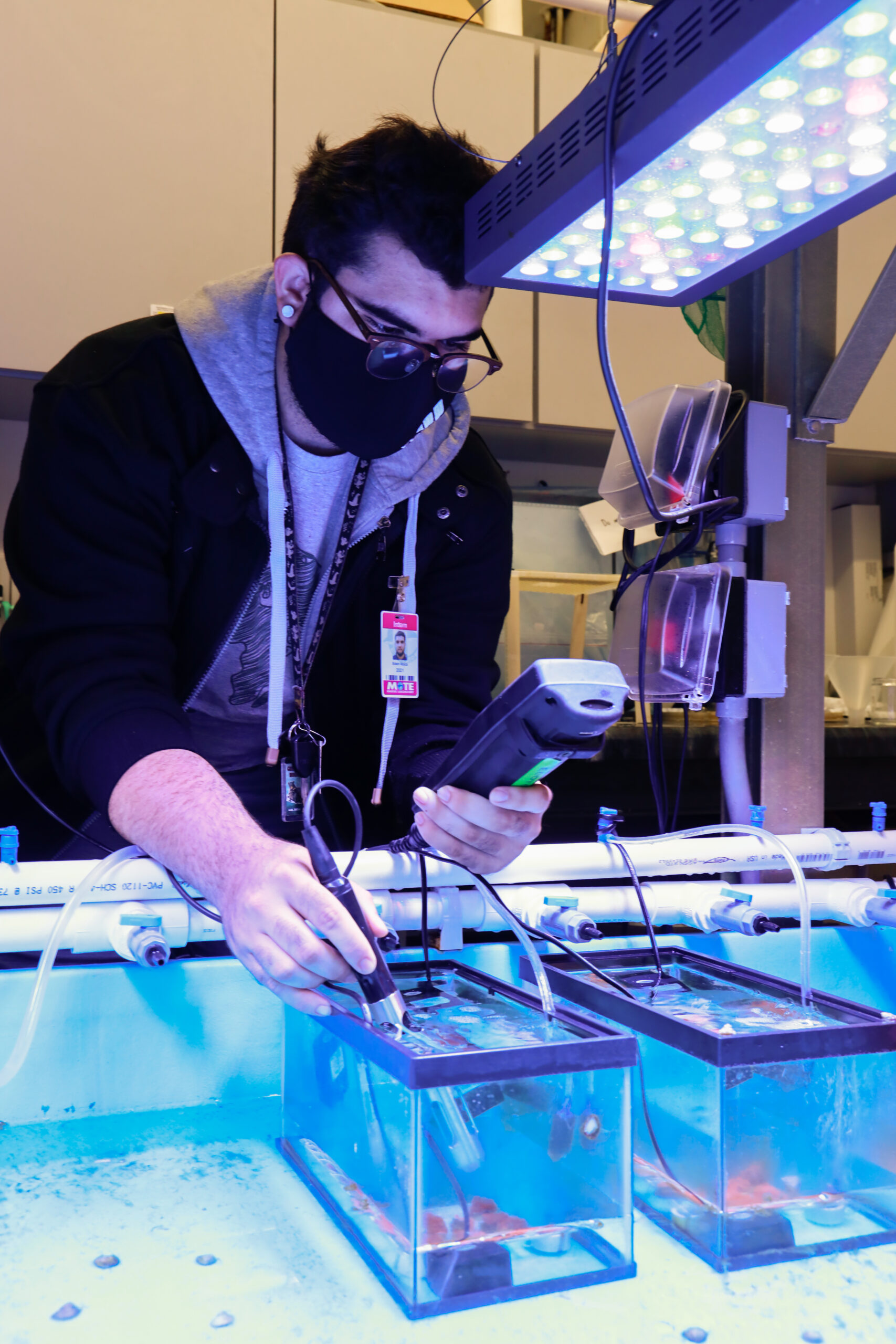 Marine STEM Education | Mote Marine Laboratory & Aquarium