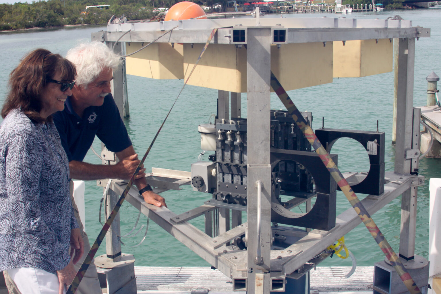 Benthic Ecology | Mote Marine Laboratory & Aquarium