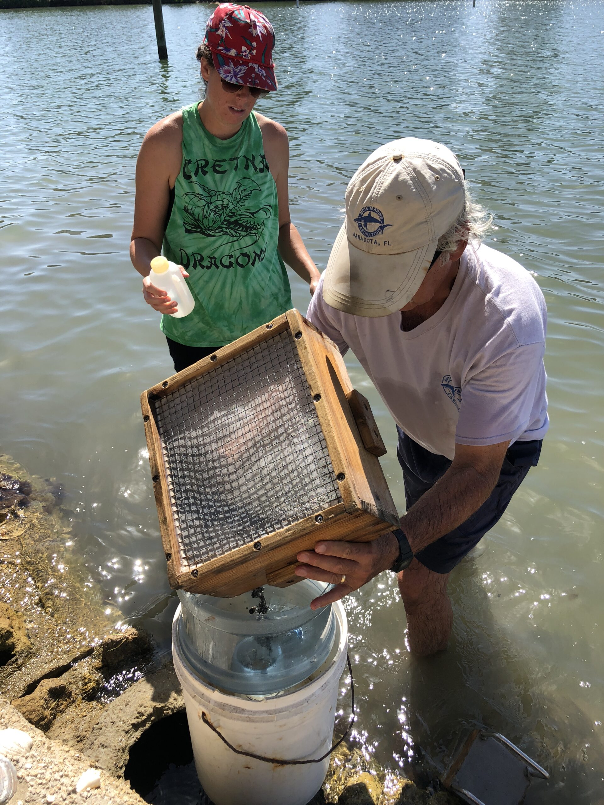 Benthic Ecology | Mote Marine Laboratory & Aquarium