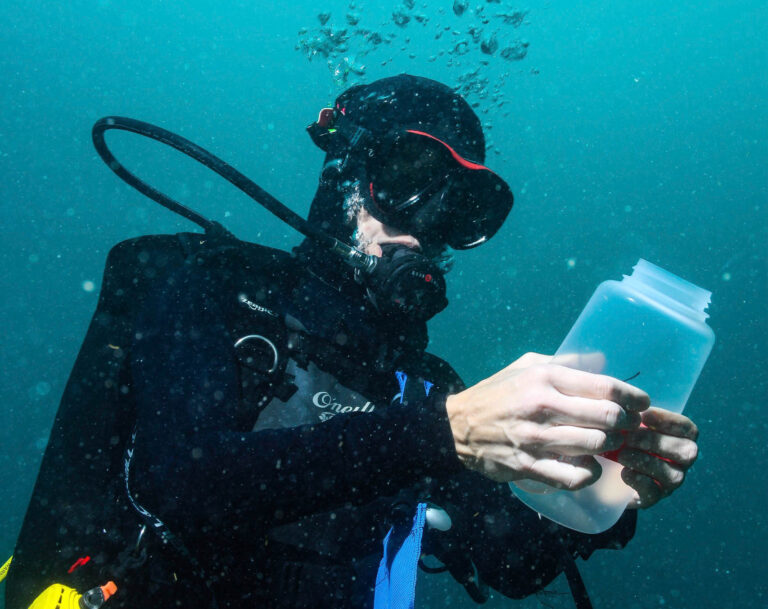 Ocean Acidification | Mote Marine Laboratory & Aquarium