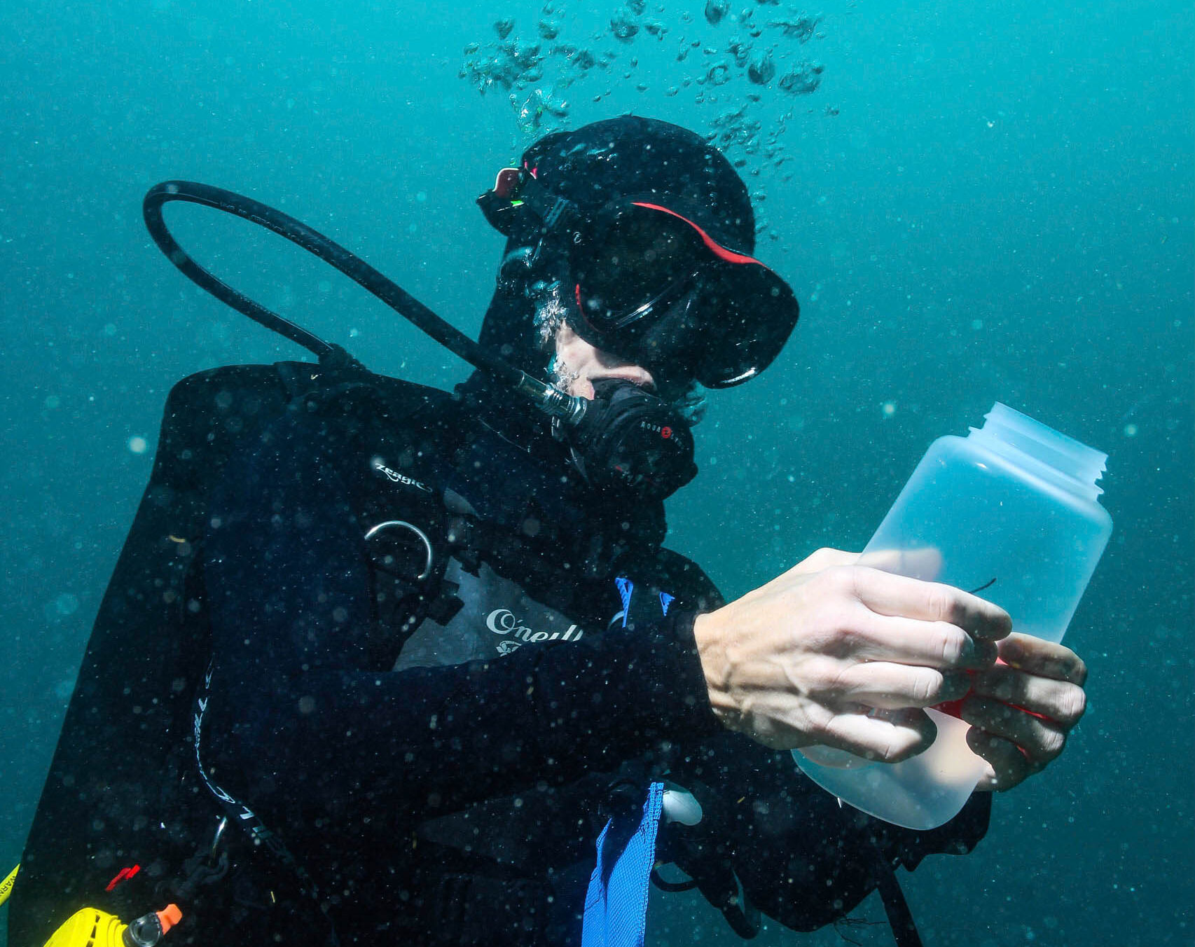 Ocean Acidification | Mote Marine Laboratory & Aquarium