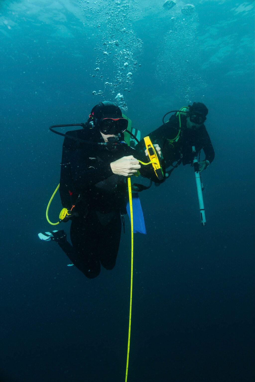 Ocean Acidification | Mote Marine Laboratory & Aquarium