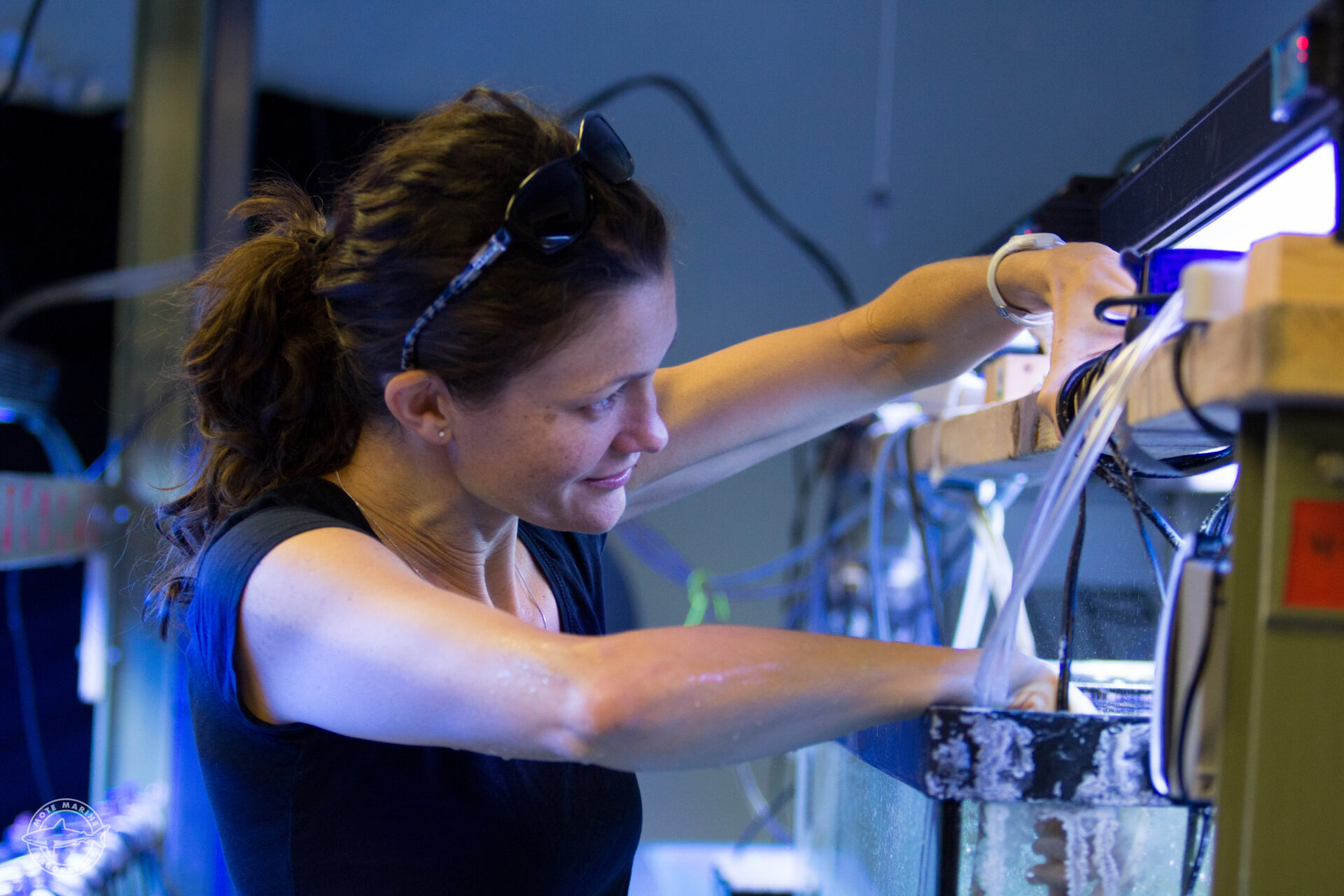 Ocean Acidification | Mote Marine Laboratory & Aquarium