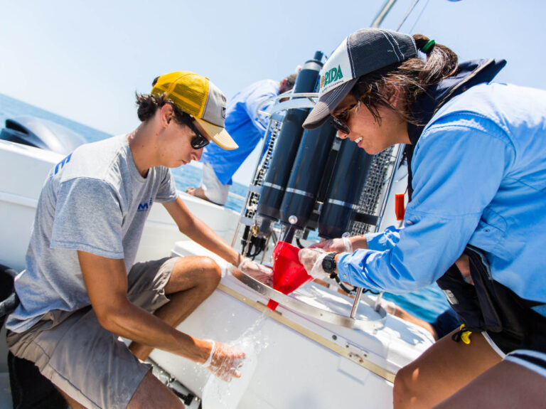 NSF REU Internships | Mote Marine Laboratory & Aquarium