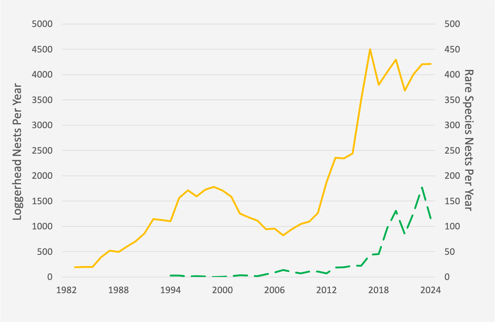 Sea Turtle Conservation & Research | Mote Marine Laboratory & Aquarium