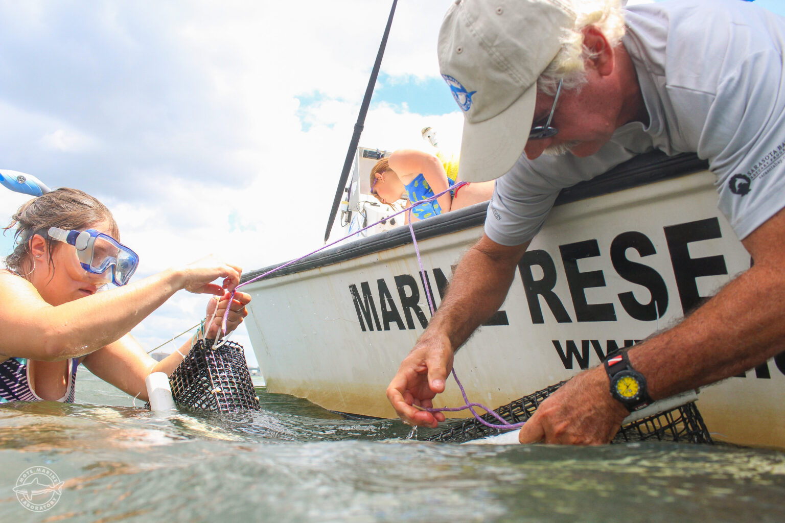 Benthic Ecology | Mote Marine Laboratory & Aquarium