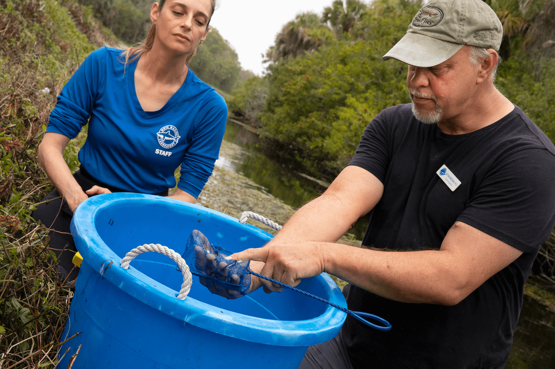 Fisheries Ecology & Enhancement | Mote Marine Laboratory & Aquarium