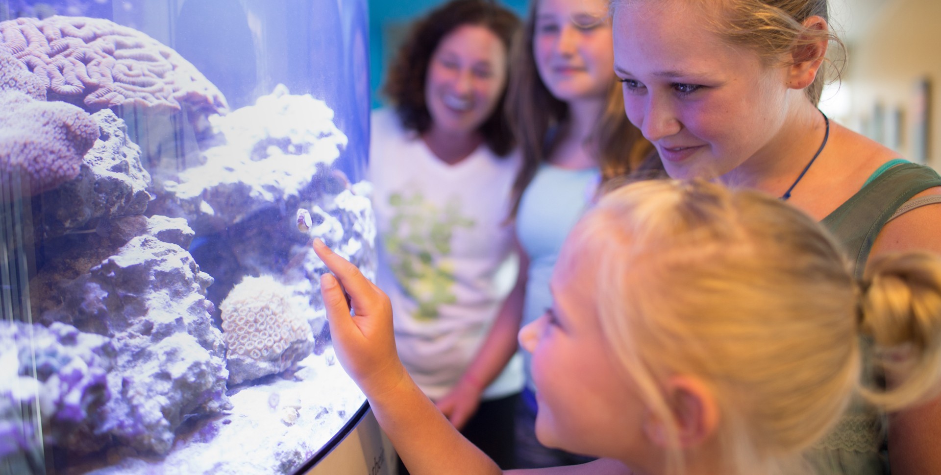 Education | Mote Marine Laboratory & Aquarium