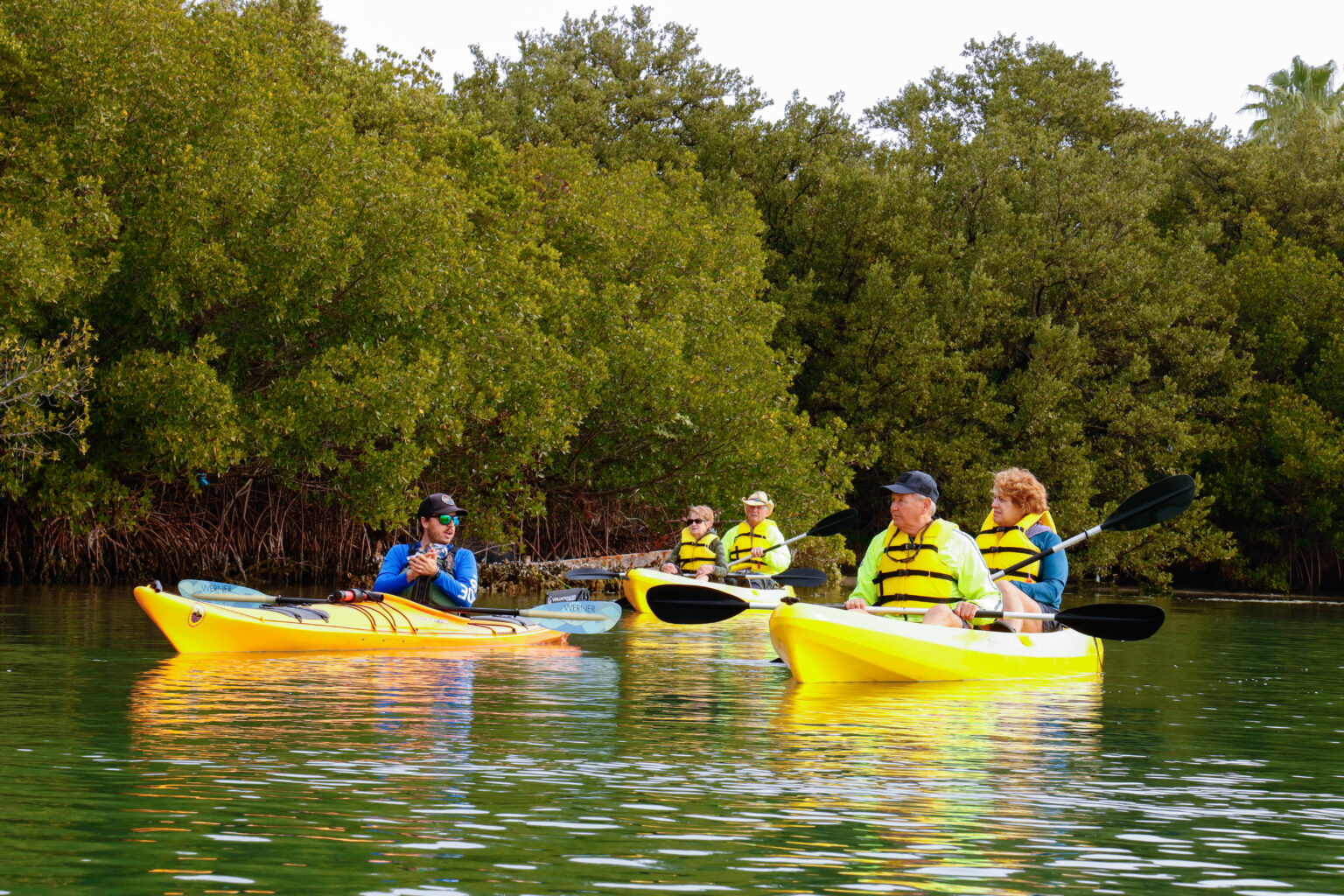Education | Mote Marine Laboratory & Aquarium
