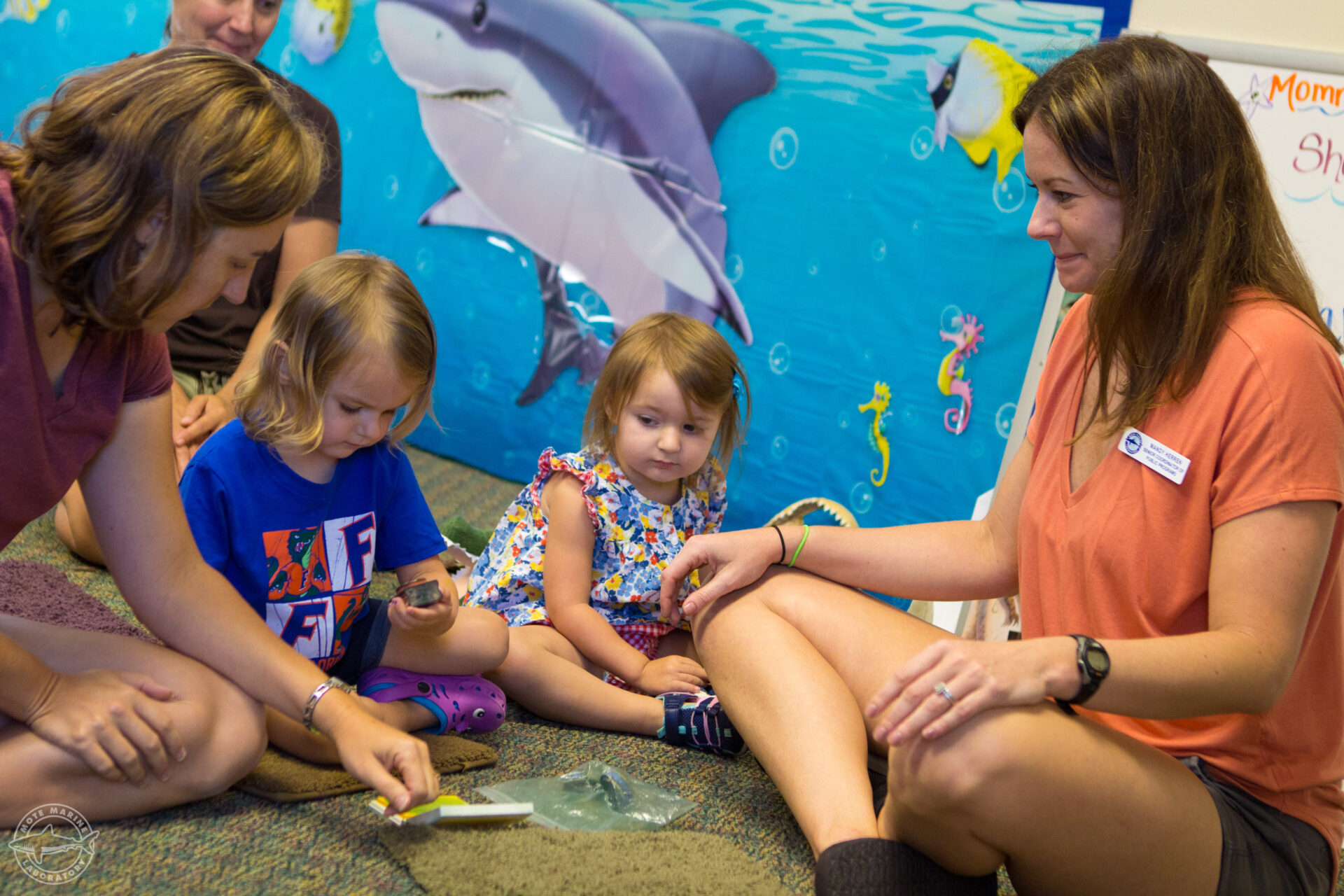 Education Programs | Mote Marine Laboratory & Aquarium