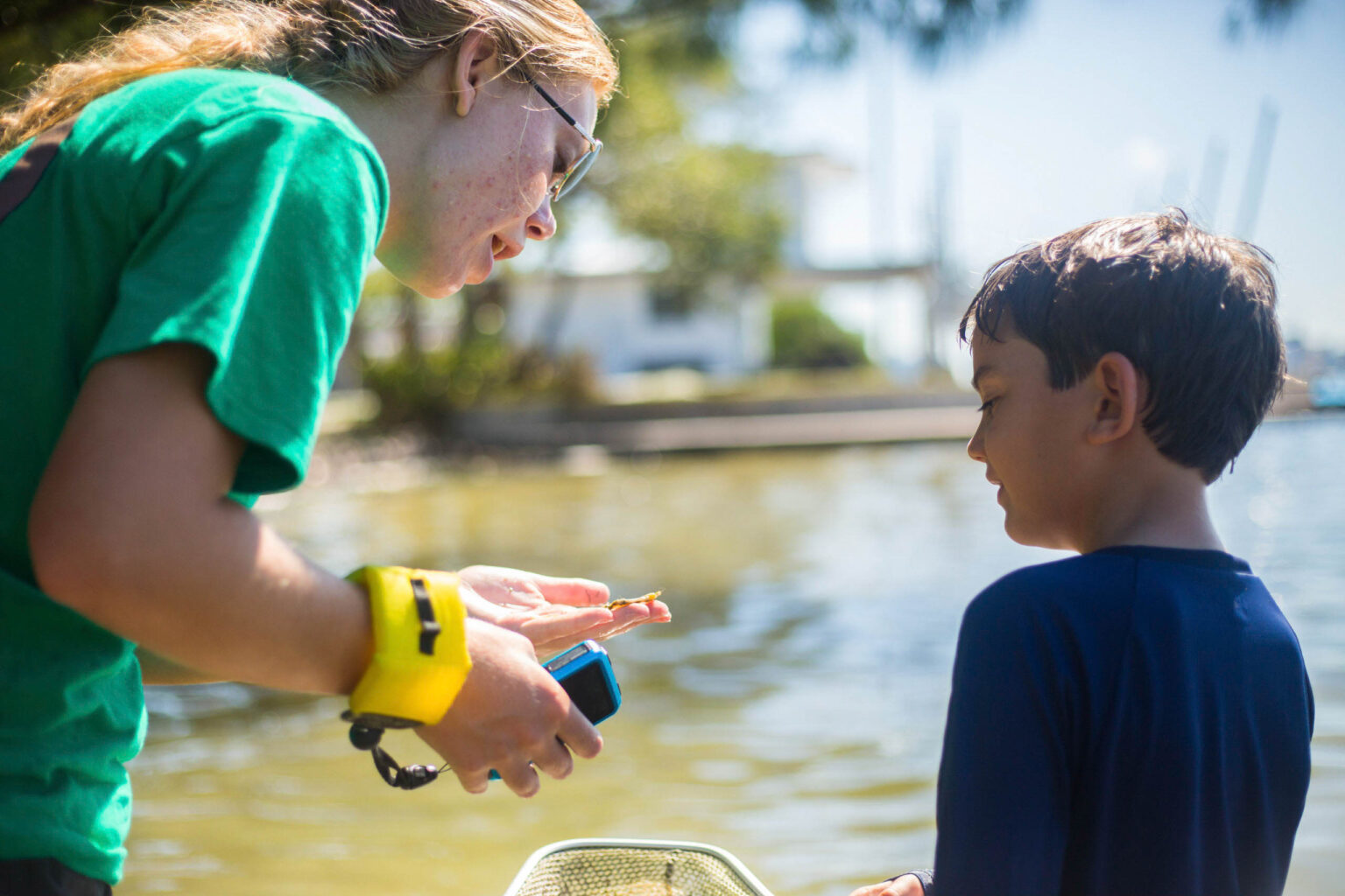 College Internship Program | Mote Marine Laboratory & Aquarium