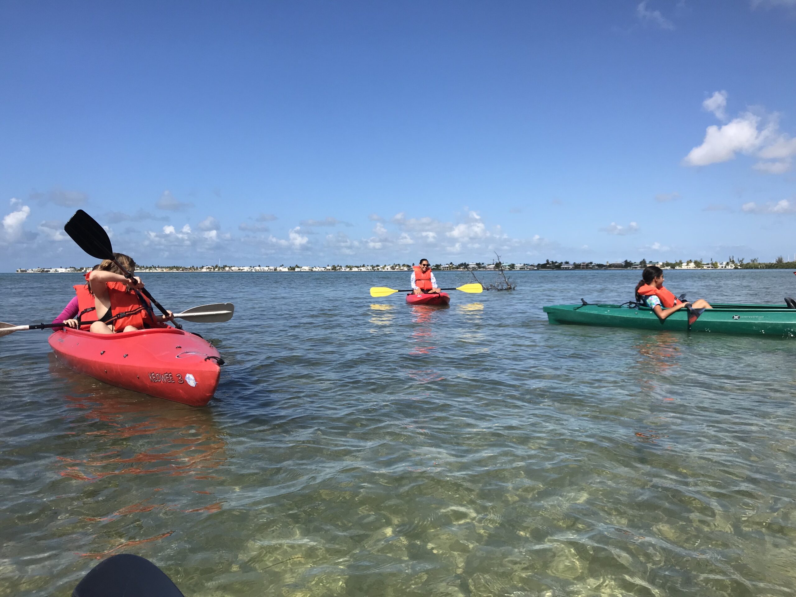 Field Trips (Florida Keys) | Mote Marine Laboratory & Aquarium
