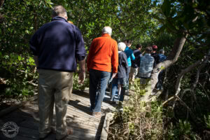 Florida Master Naturalist Program (Sarasota) | Mote Marine Laboratory ...