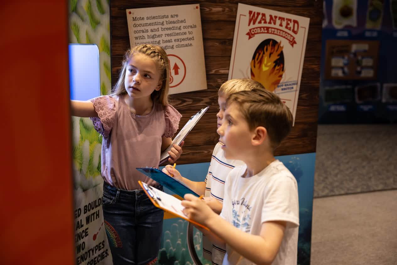 Home | Mote Marine Laboratory & Aquarium