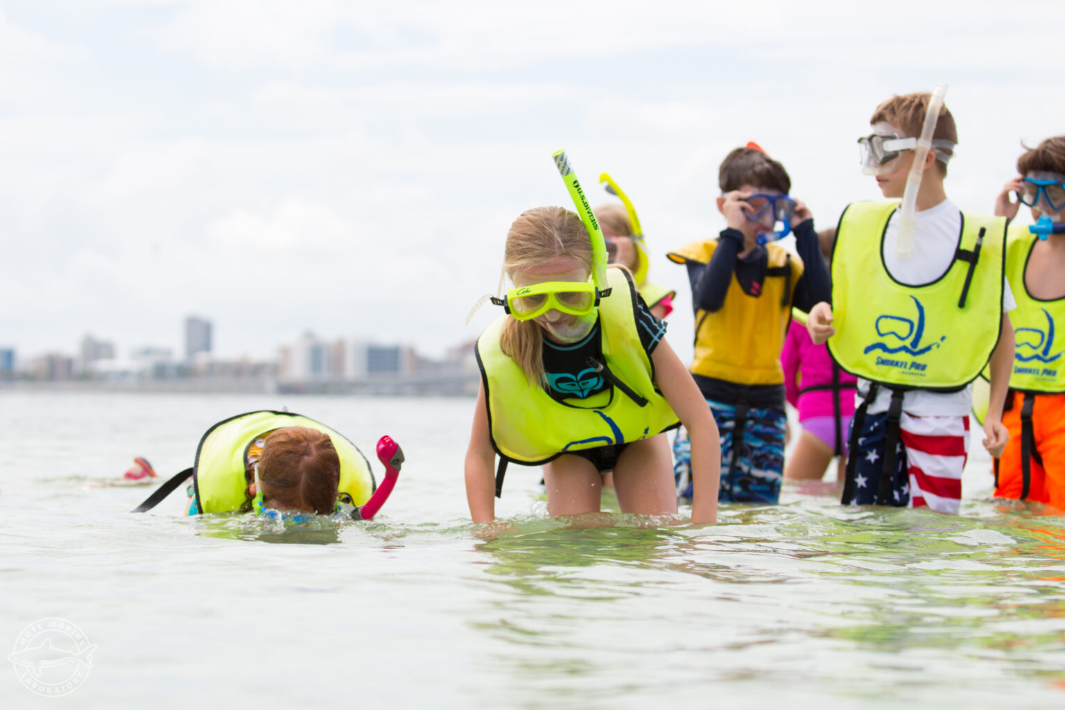 Education | Mote Marine Laboratory & Aquarium