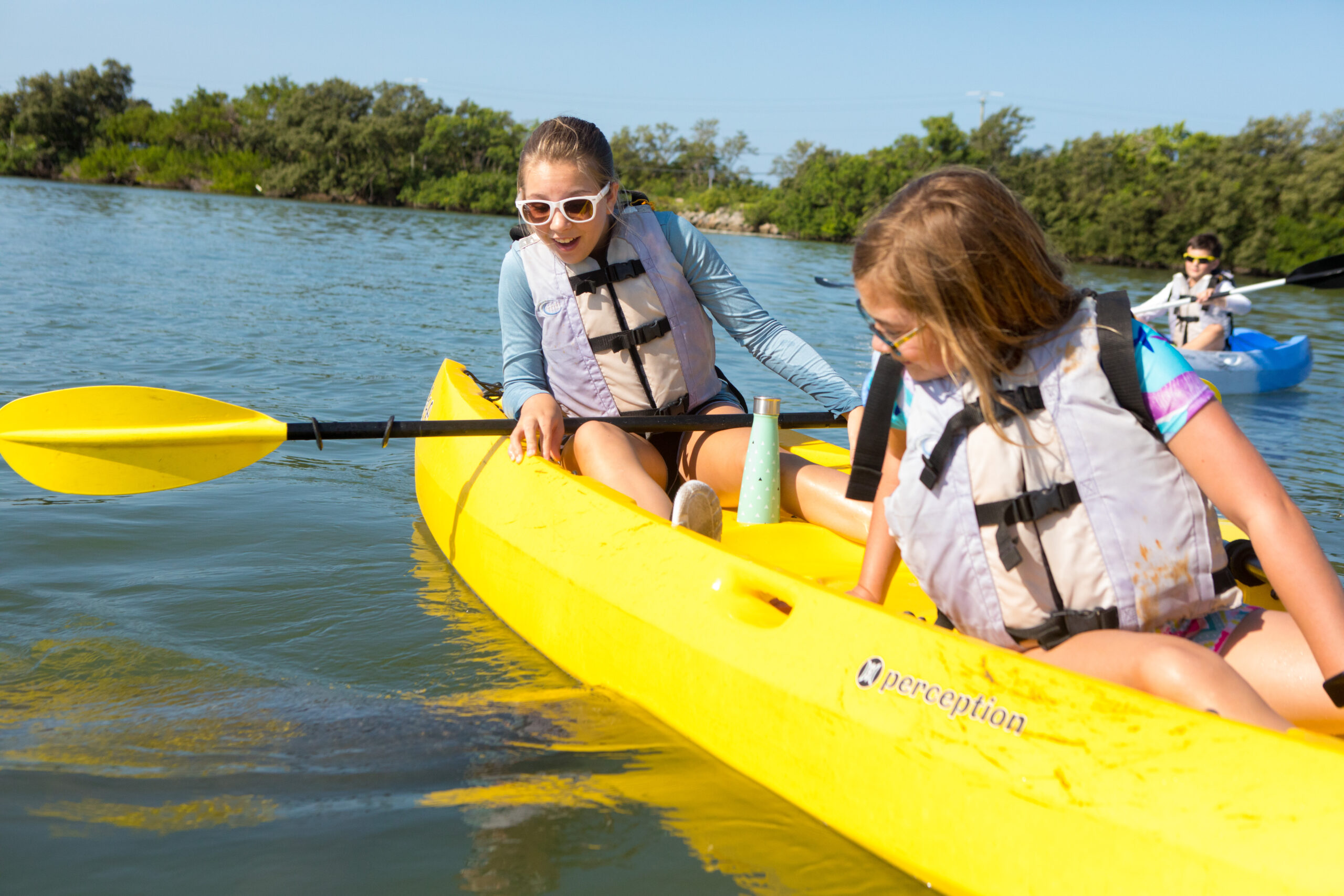 Summer Camp (Sarasota) | Mote Marine Laboratory & Aquarium