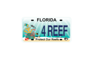 Coral Reef Restoration | Mote Marine Laboratory & Aquarium