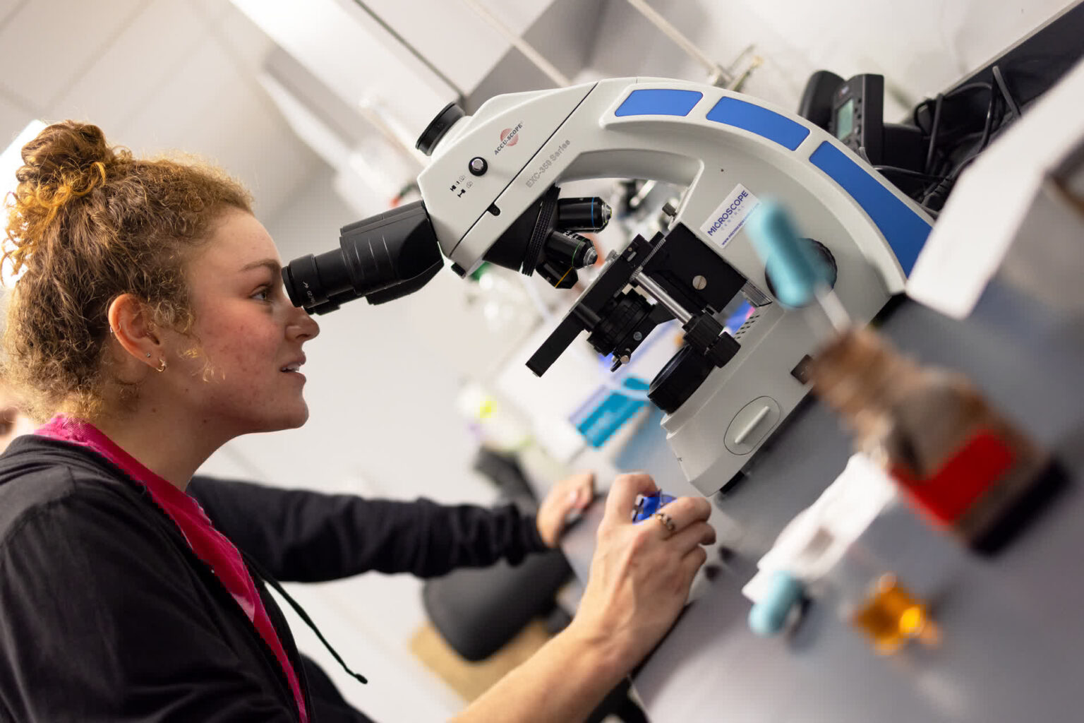 Red Tide Institute | Mote Marine Laboratory & Aquarium