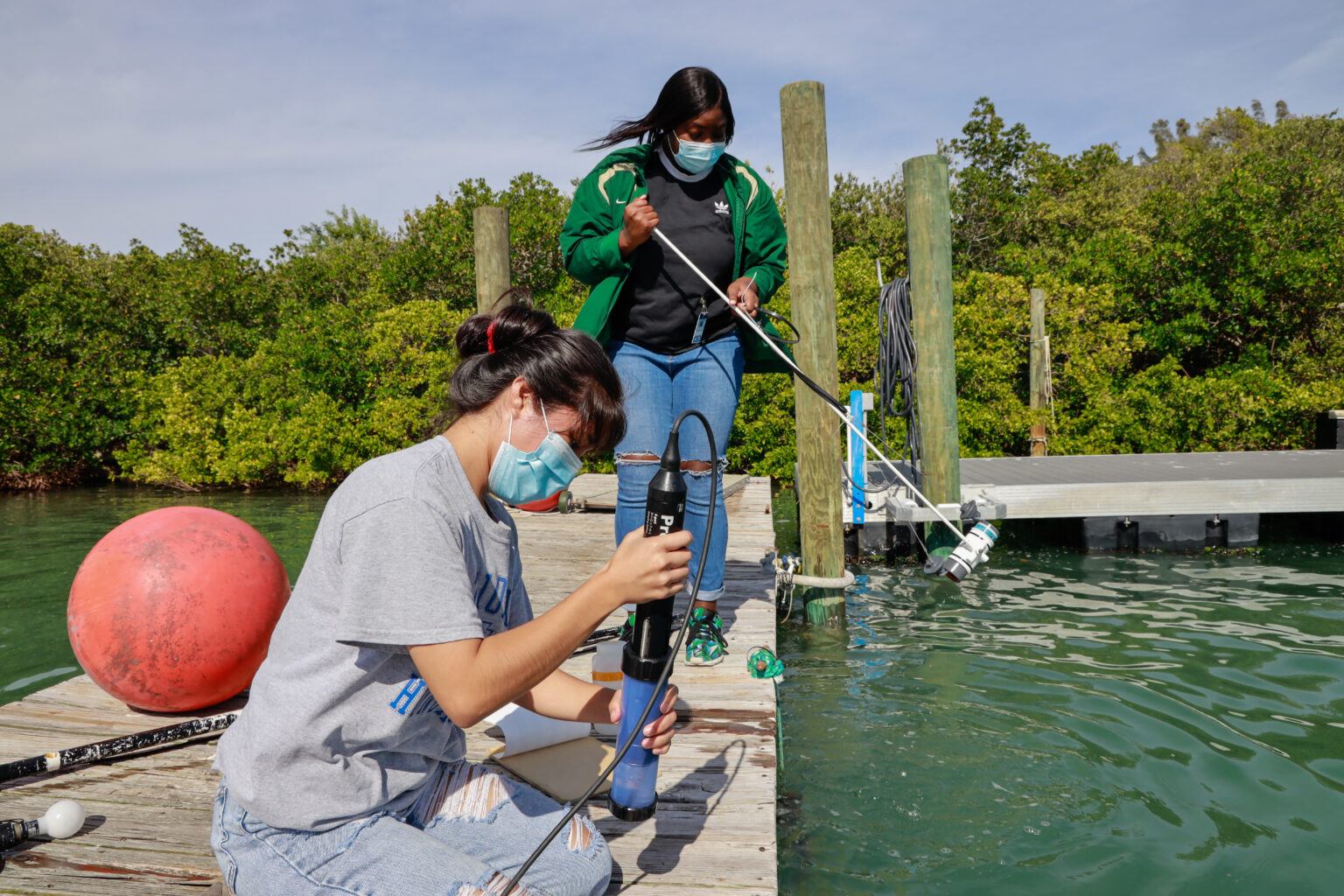 College Internship Program | Mote Marine Laboratory & Aquarium