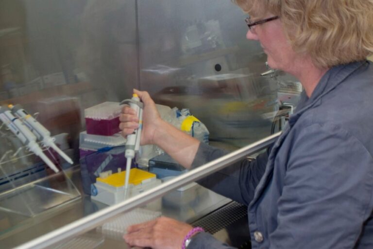 Marine Immunology REU | Mote Marine Laboratory & Aquarium