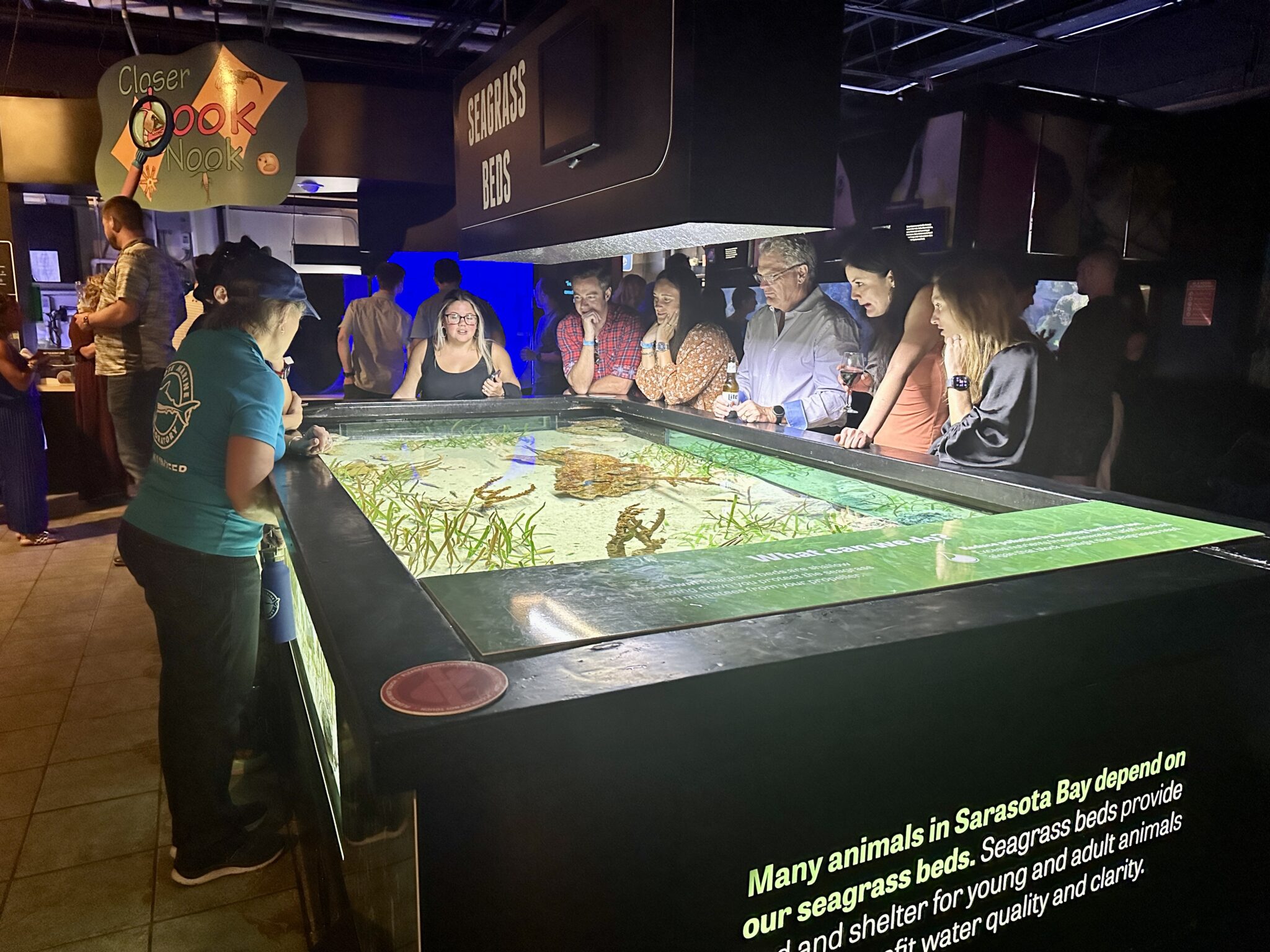 Mote Marine Laboratory & Aquarium | Mote Marine Laboratory & Aquarium