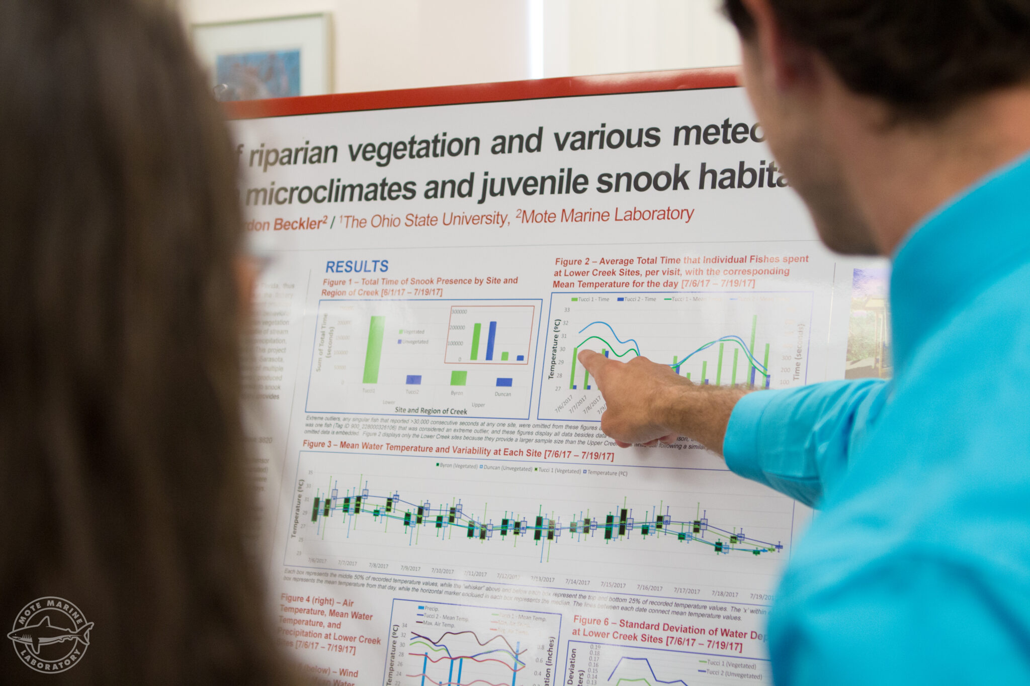 NSF REU Internships | Mote Marine Laboratory & Aquarium