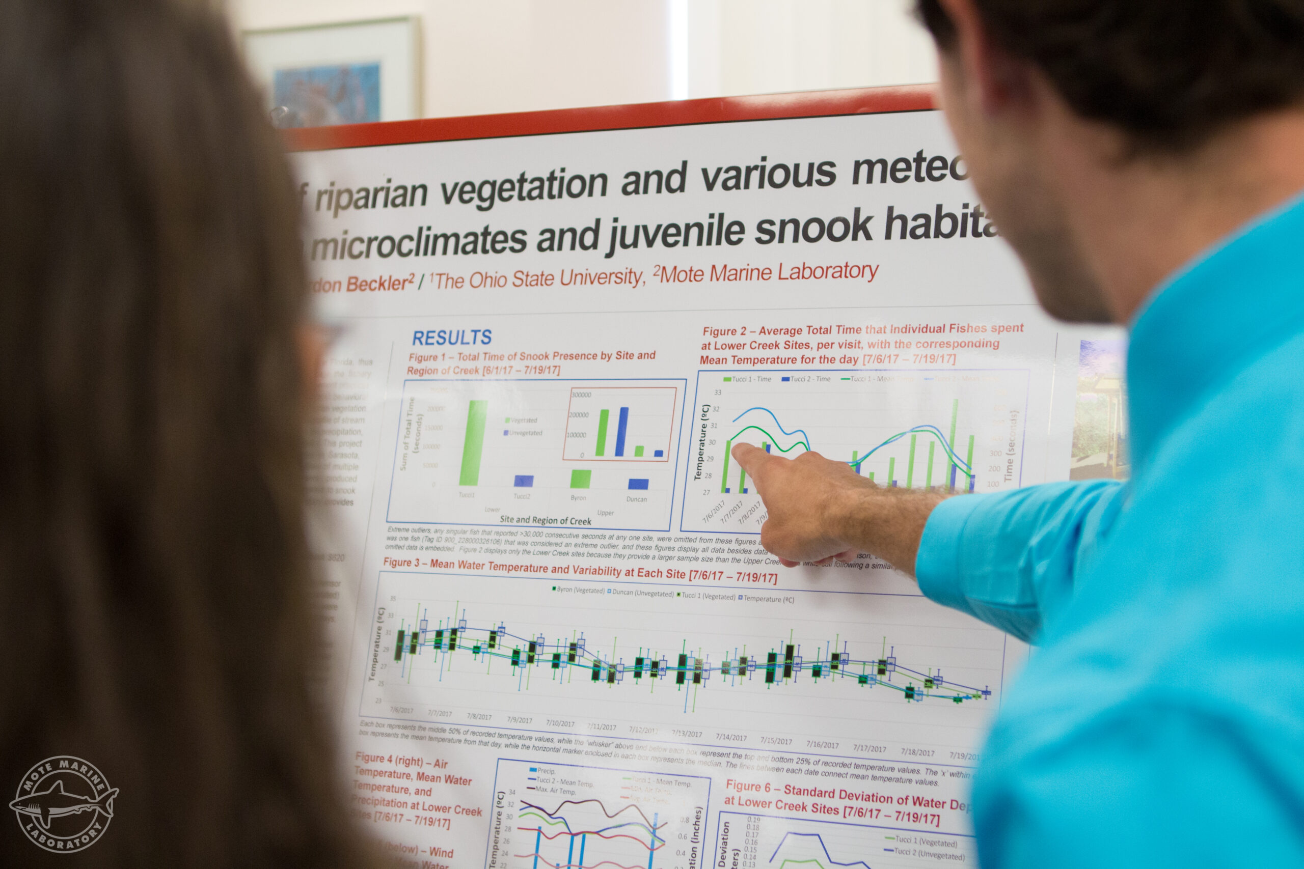 NSF REU Internships | Mote Marine Laboratory & Aquarium