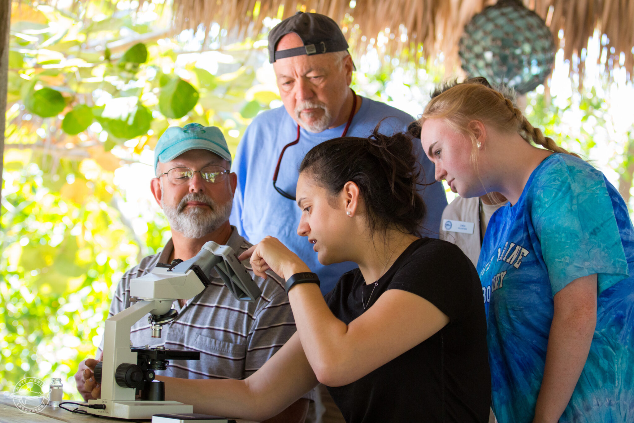 Citizen Science | Mote Marine Laboratory & Aquarium