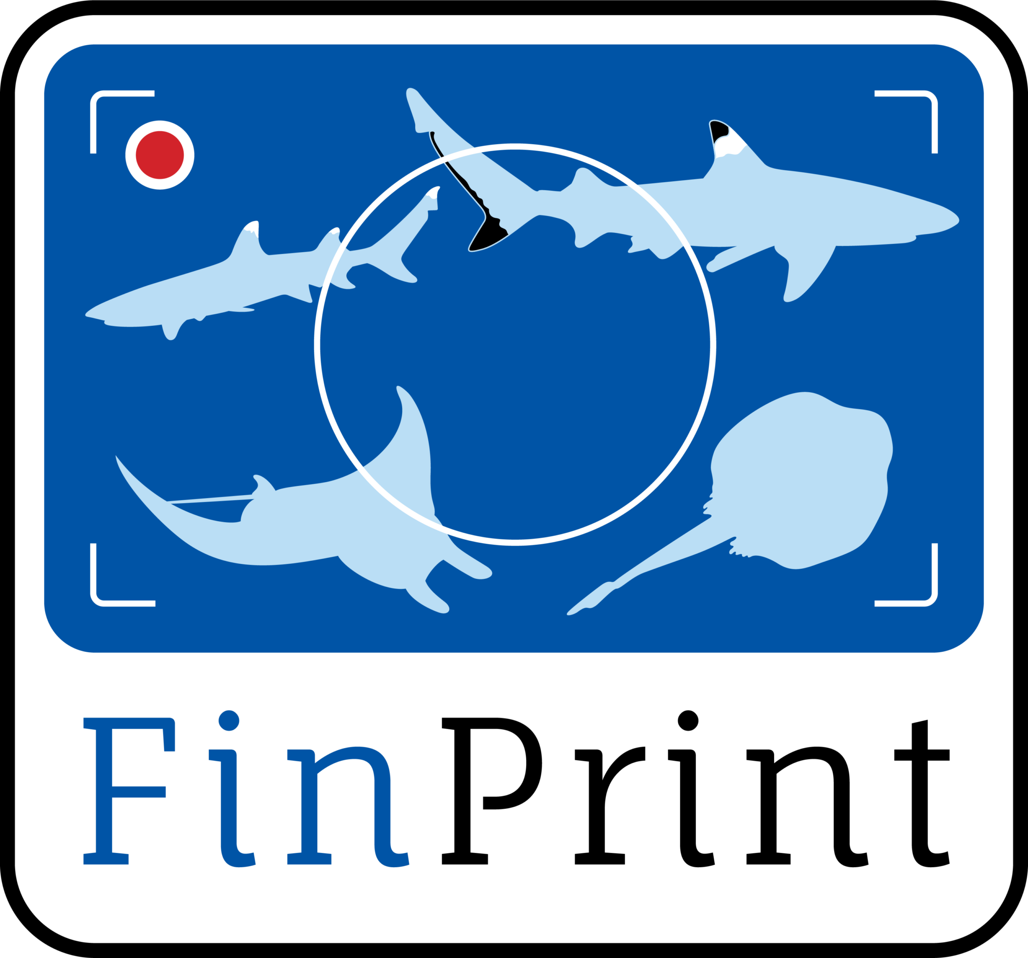 Global FinPrint | Mote Marine Laboratory & Aquarium