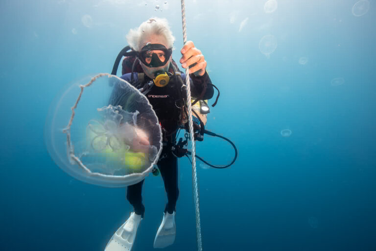 Benthic Ecology | Mote Marine Laboratory & Aquarium