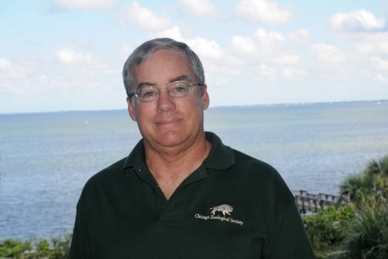 Marine Animal Rescue & Rehabilitation | Mote Marine Laboratory & Aquarium