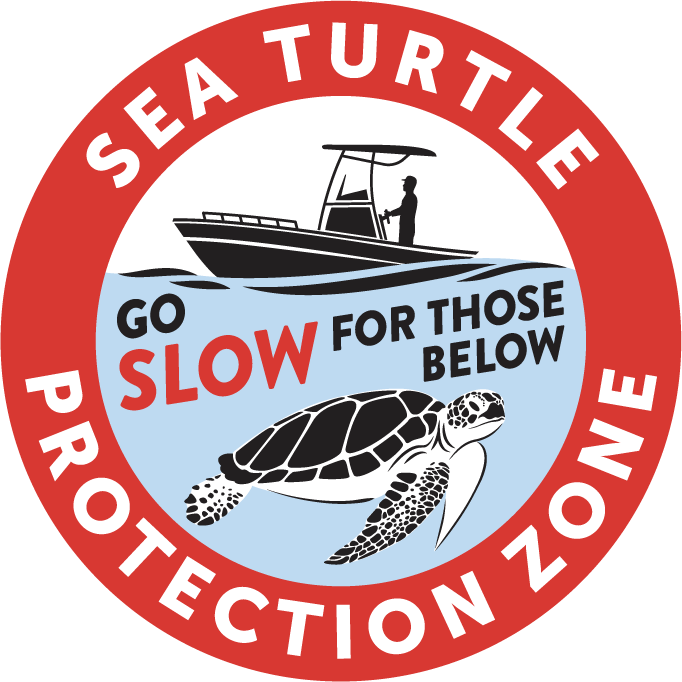 Sea Turtle Protection Zone (STPZ) | Mote Marine Laboratory & Aquarium