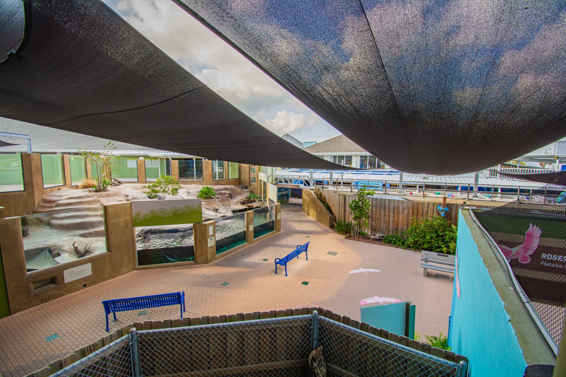 Marine Mammal Center | Mote Marine Laboratory & Aquarium