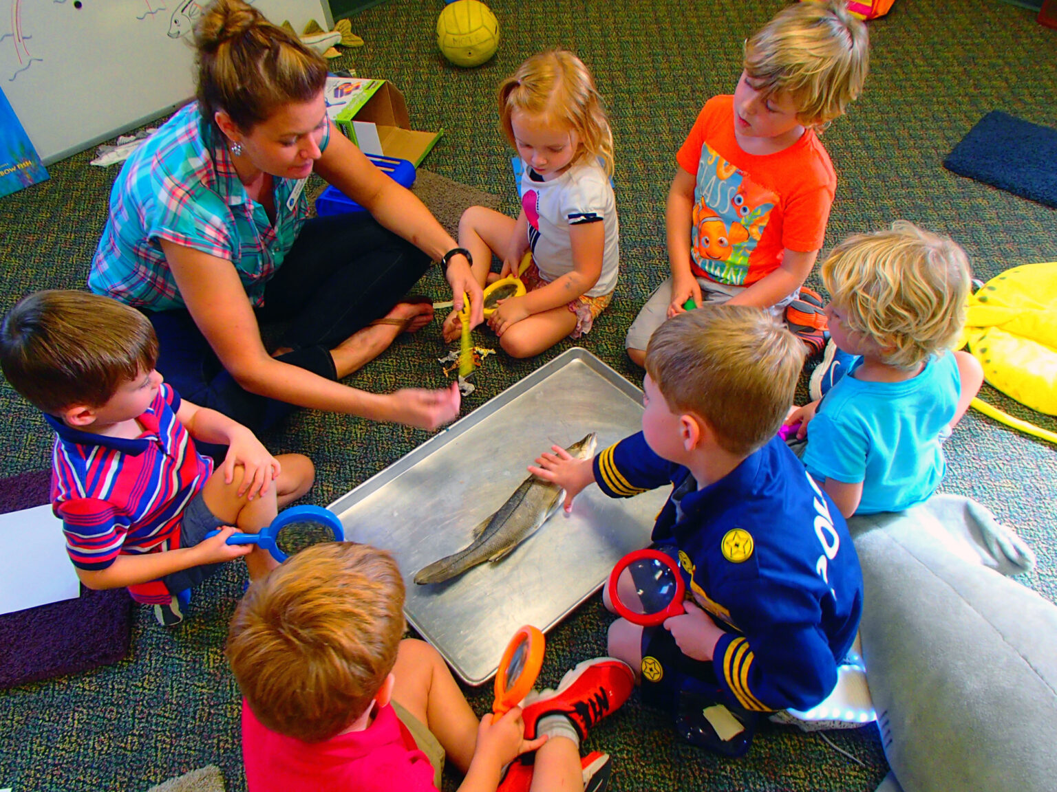 Education | Mote Marine Laboratory & Aquarium