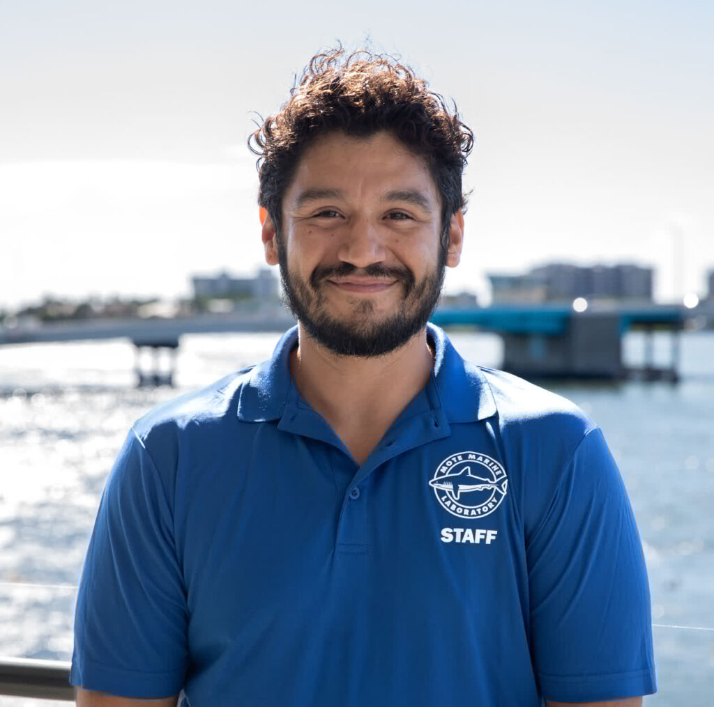 Marine Animal Rescue & Rehabilitation | Mote Marine Laboratory & Aquarium