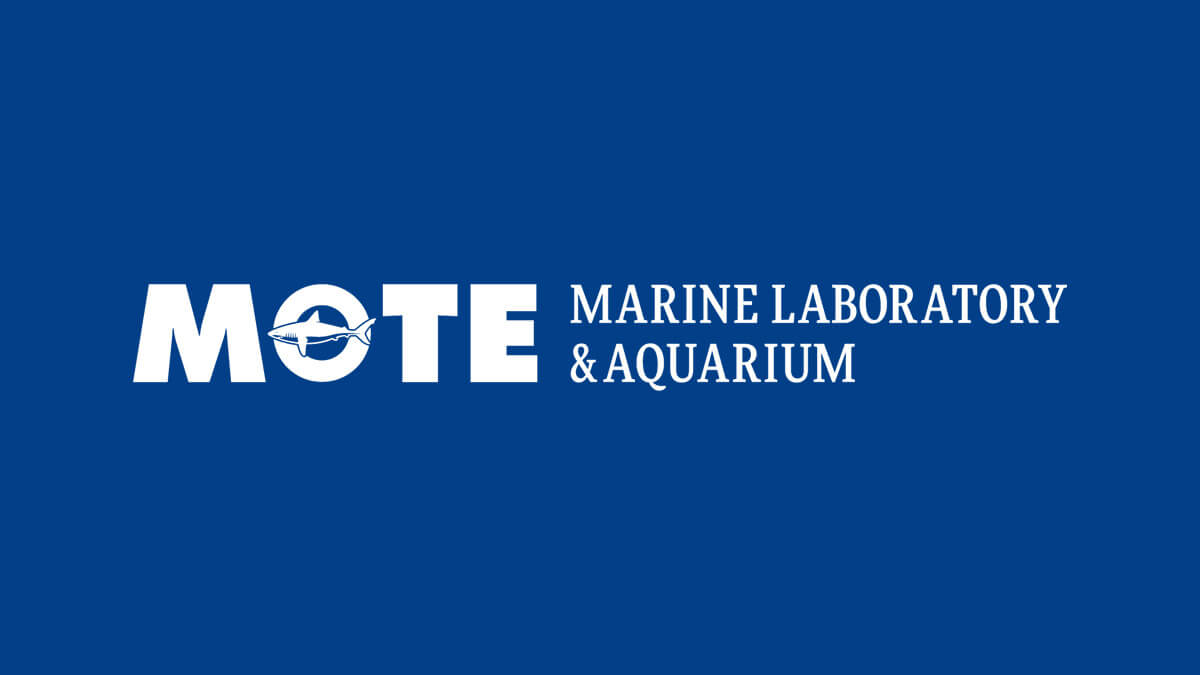 Brlit Mote Marine Laboratory Aquarium