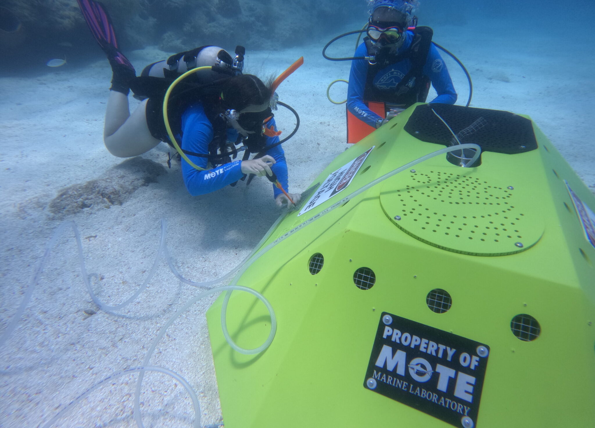 Mote Leads Successful Sensor Deployment Initiative to Improve Coral ...