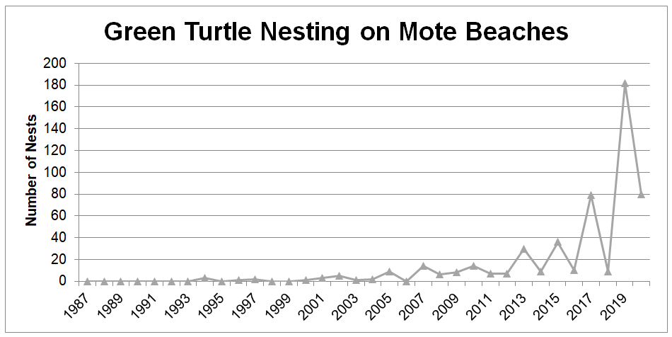 Sea Turtle Tracking | Mote Marine Laboratory & Aquarium