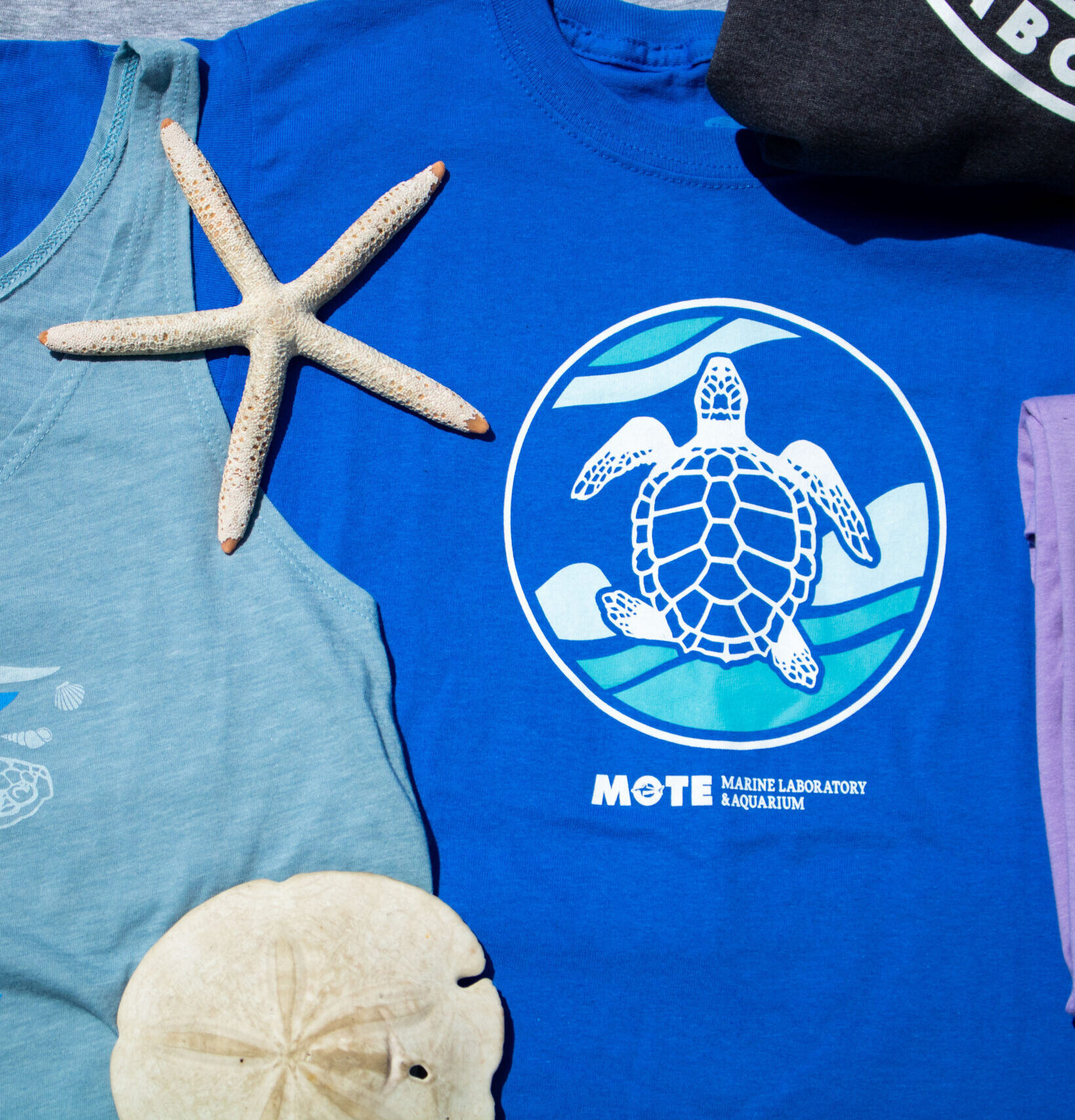 Gift Guide | Mote Marine Laboratory & Aquarium