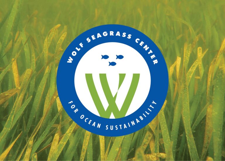Ron & Marla Wolf Seagrass Restoration Center for Ocean Sustainability ...
